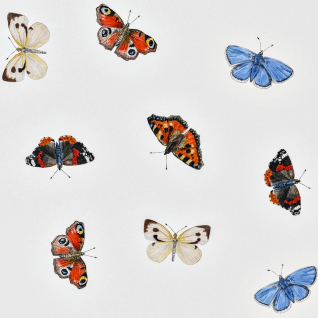 Re-Wrapped, English Butterflies, Craft Paper, 100gsm - ArtMaterials.CA
