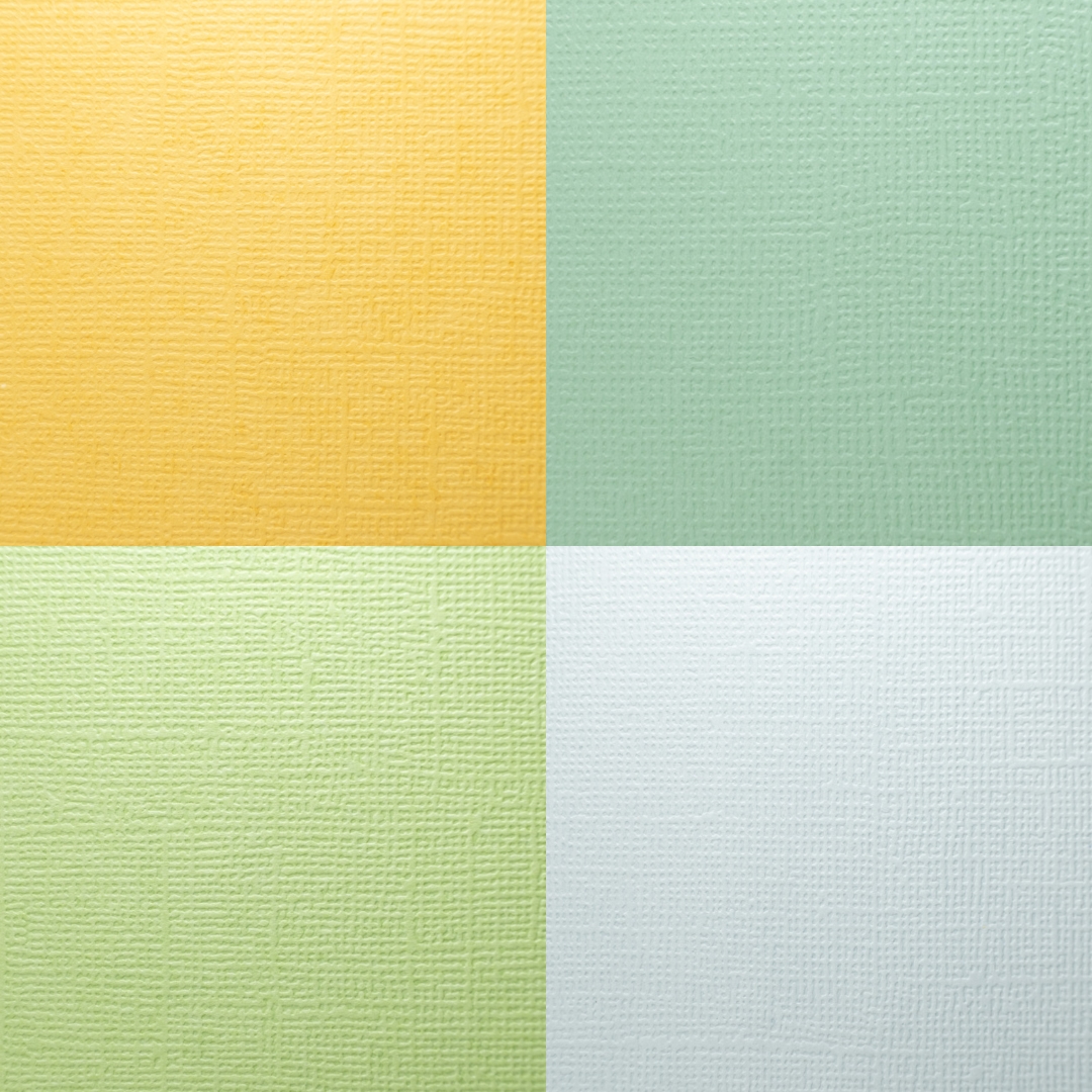 Prism Studio, Textured Canvas Cardstock, 12x12 in, 215 gsm ...