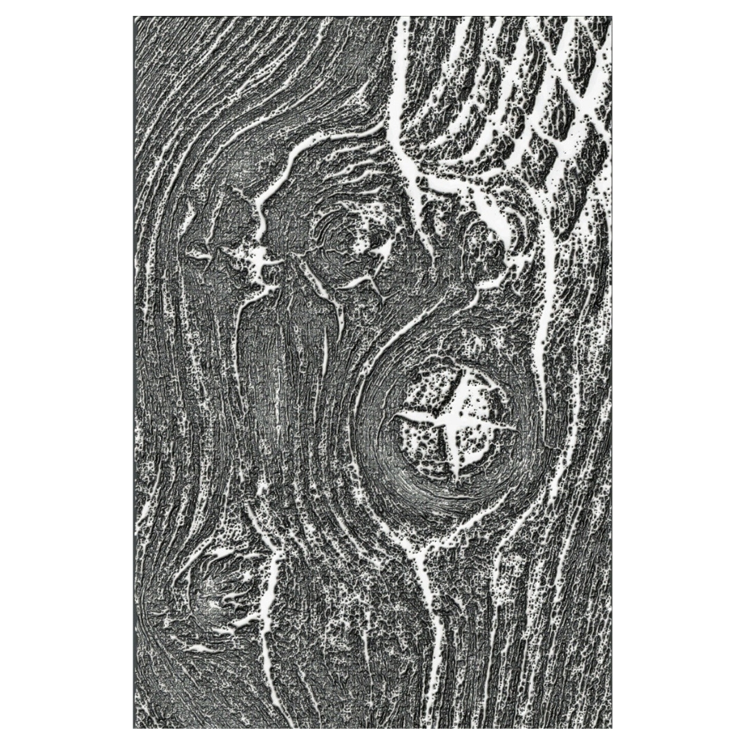 Sizzix 3D Texture Fades Embossing Folder, Woodgrain - ArtMaterials.CA